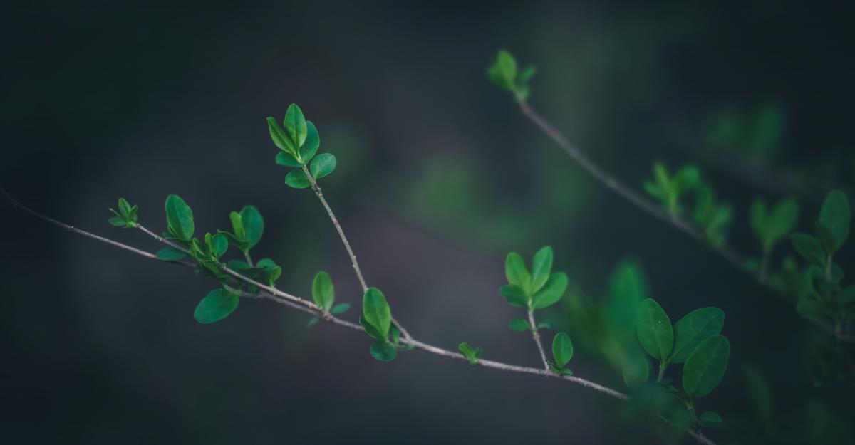 Custom Twig Function And Filter Drupal Drupaljournal